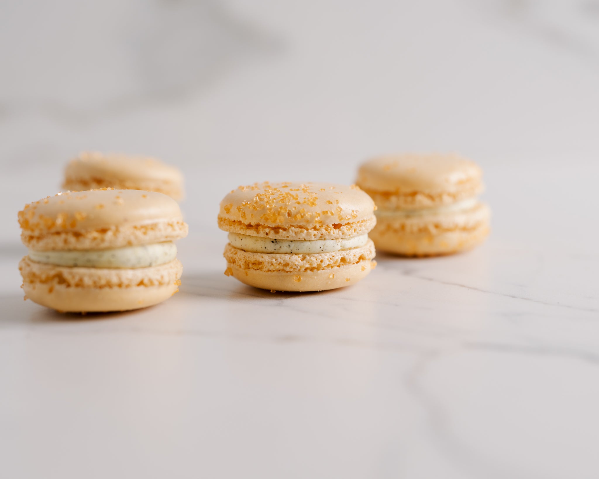Macarons - Seasonal - Duchess Bake Shop